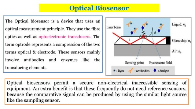 Biosensors | PPT | Chemistry | Science