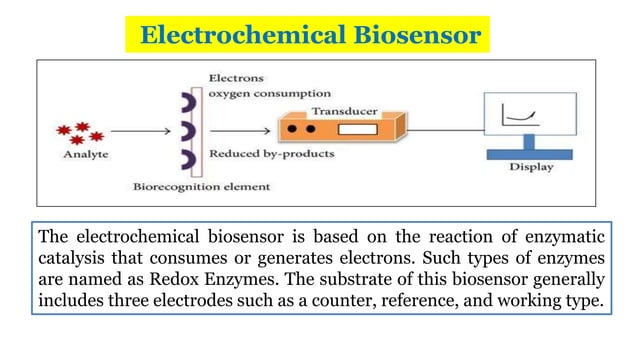 Biosensors | PPT | Chemistry | Science