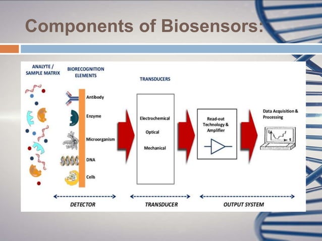 Nucleic Acid Based Biosensors | PPT