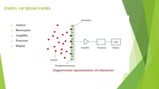 Biosensors | PPT