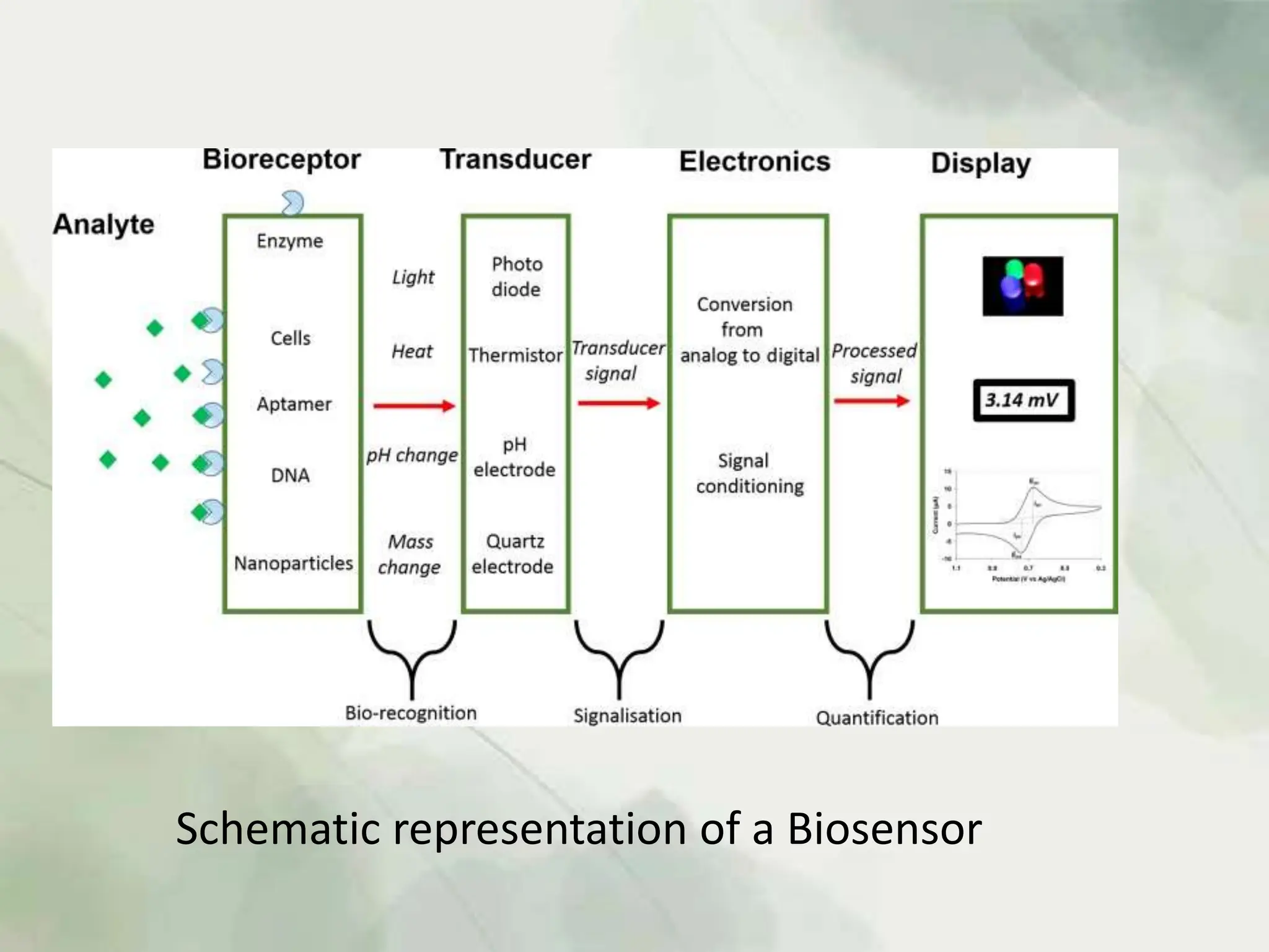 Basic concepts and principles of biosensors | PPTX