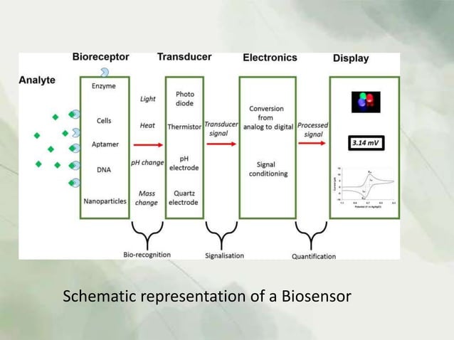 Basic concepts and principles of biosensors | PPTX