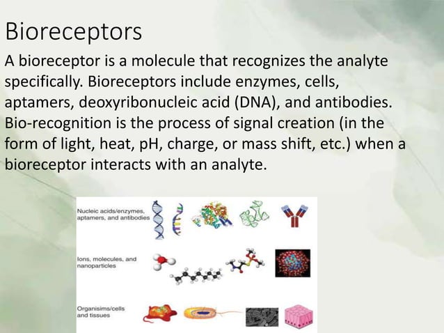 Basic concepts and principles of biosensors | PPTX