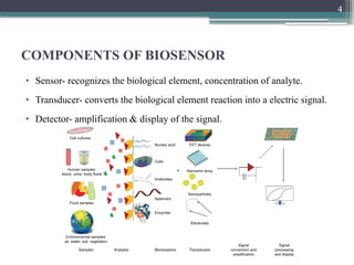 Biosensors: An Easier Way of Diagnosis | PPT