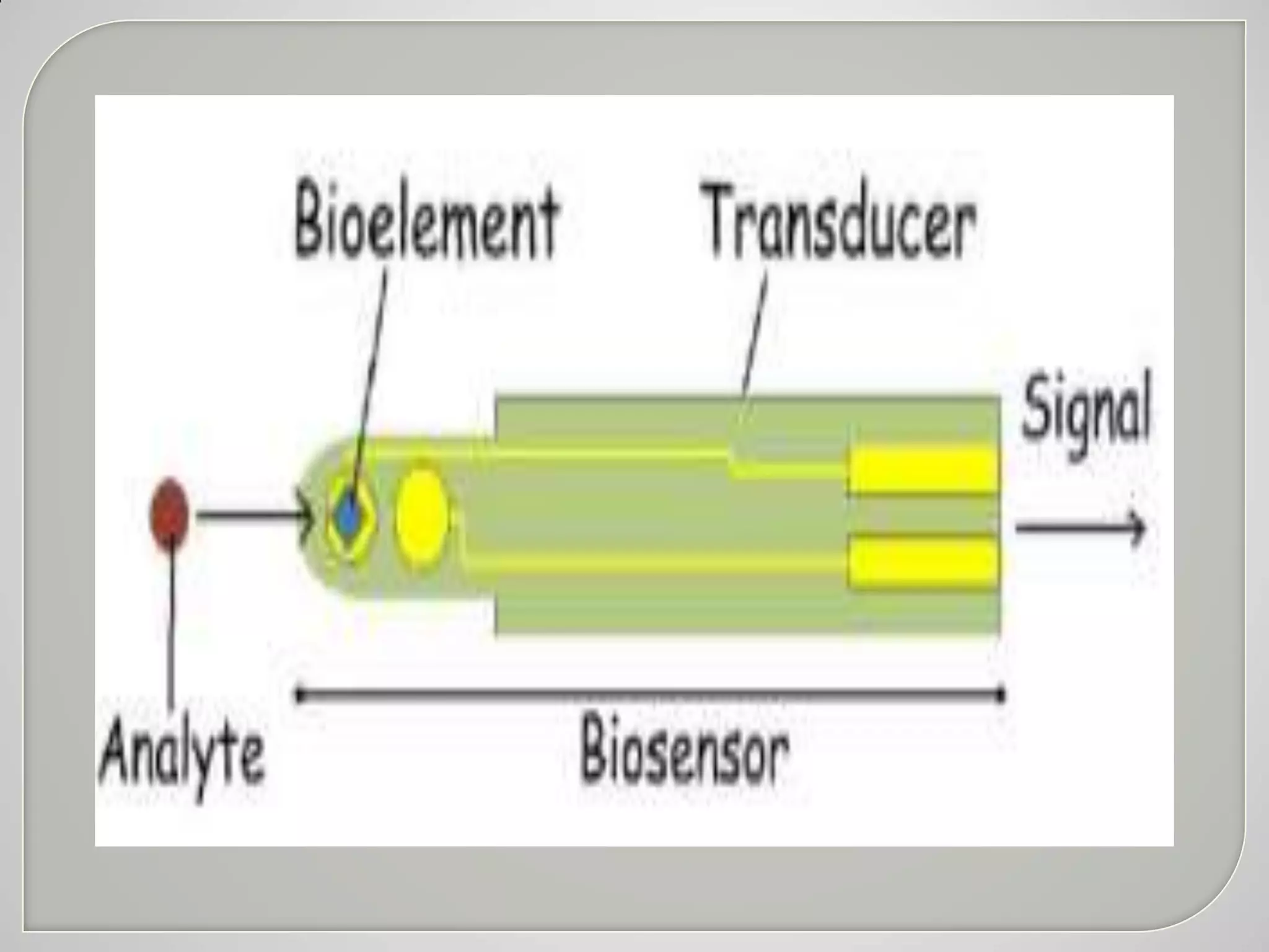Biosensors working and application in pharmaceutical industry | PPTX