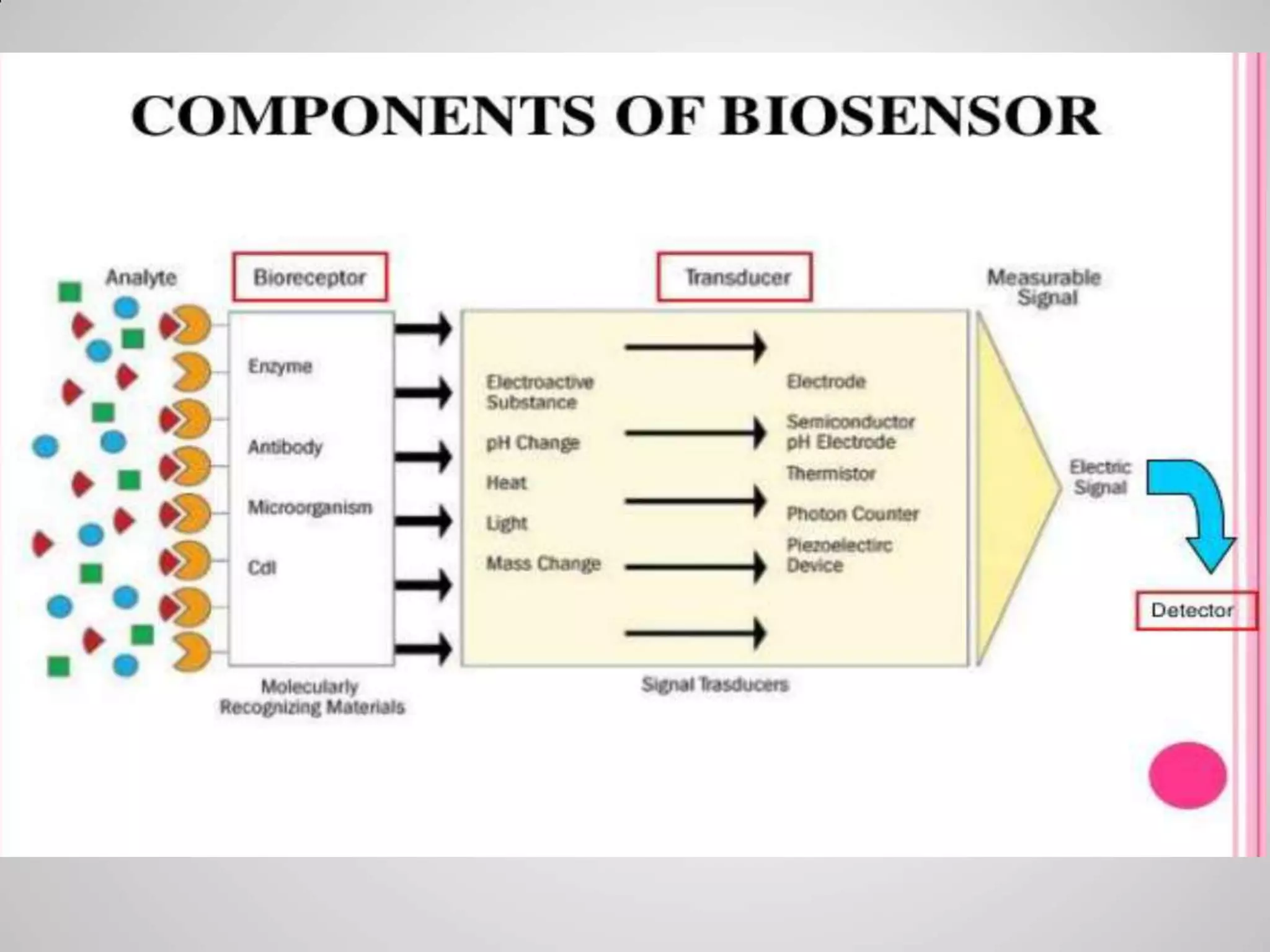 Biosensors working and application in pharmaceutical industry | PPTX