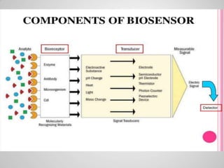 Biosensors working and application in pharmaceutical industry | PPTX
