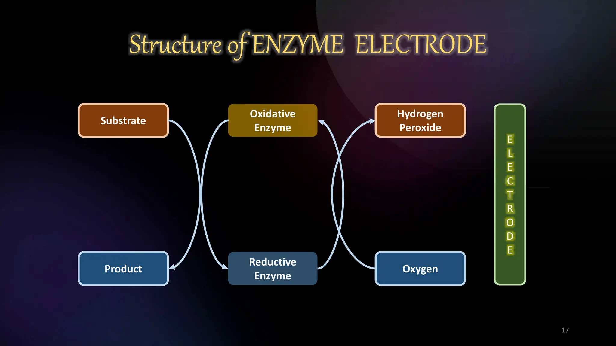 Biosensors and Enzyme electrode | PPTX