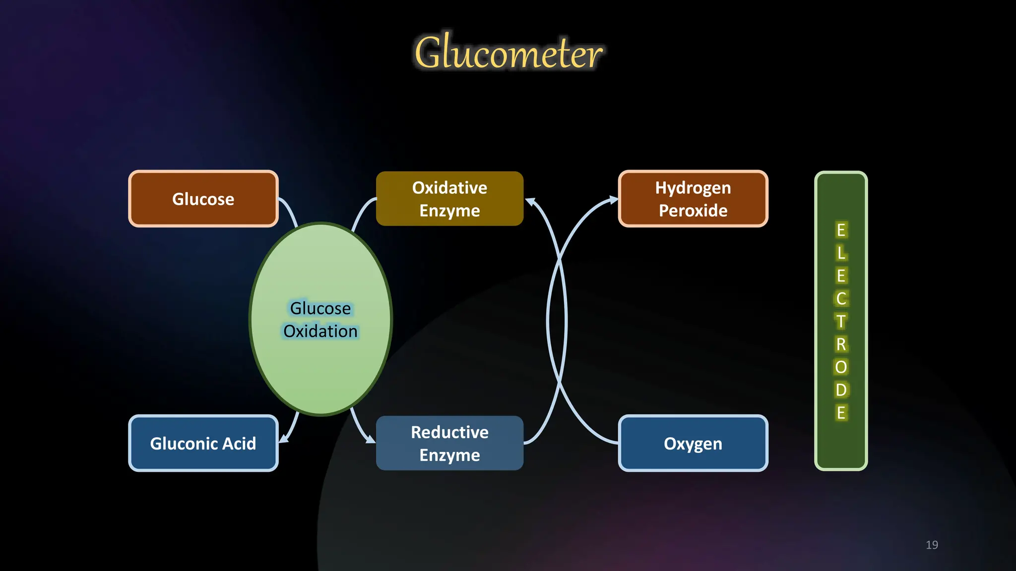 Biosensors and Enzyme electrode | PPTX