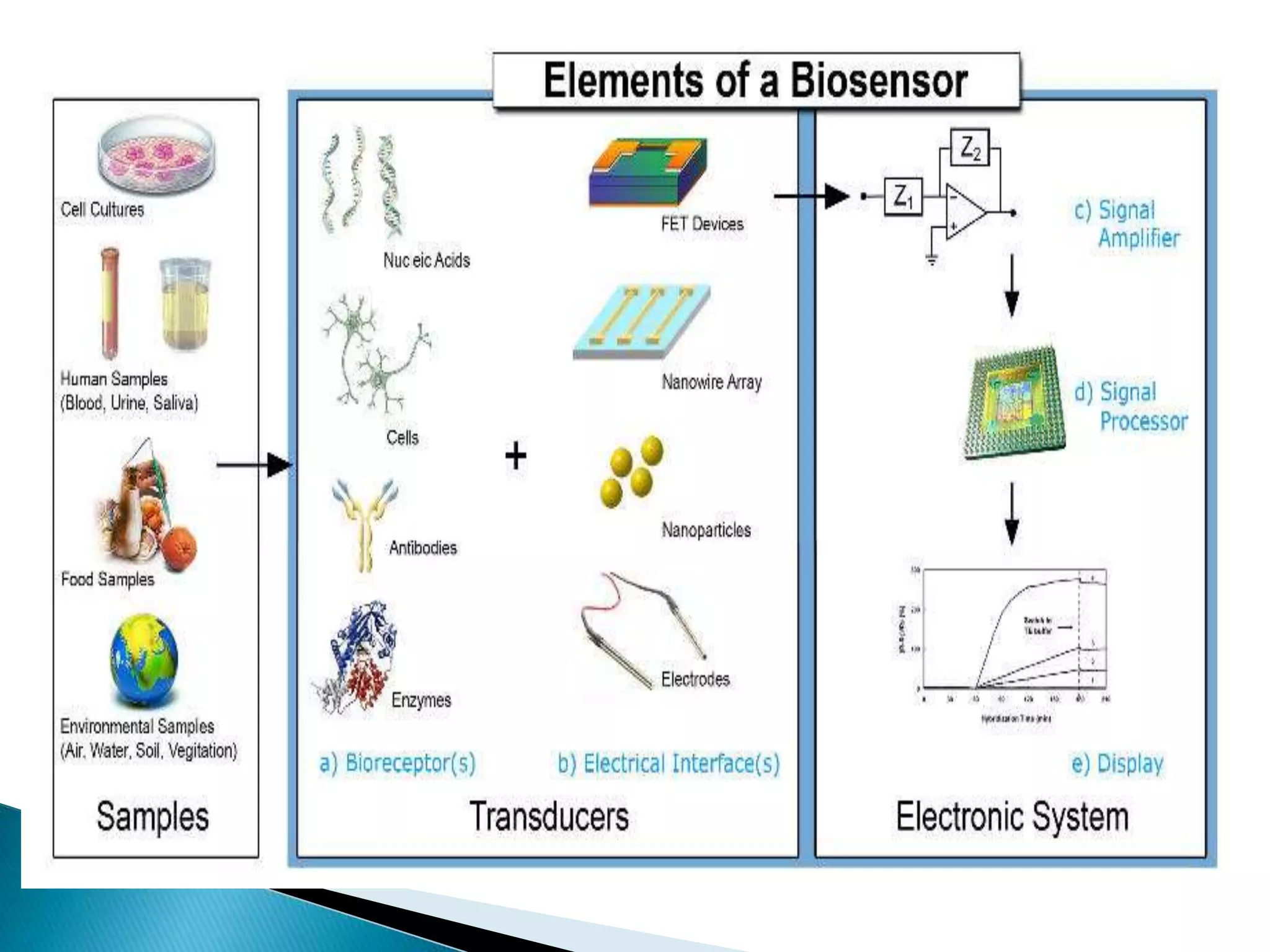 Biosensors and it’s application | PPTX | Chemistry | Science
