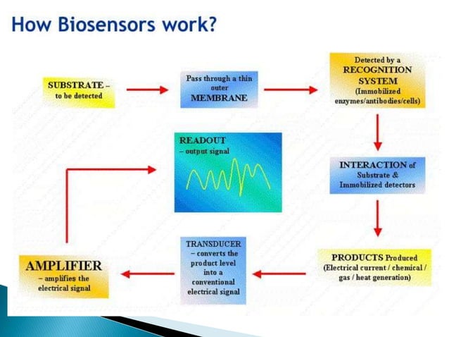 Biosensors and it’s application | PPTX | Chemistry | Science
