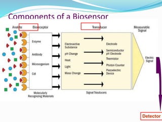 Biosensors | PPTX