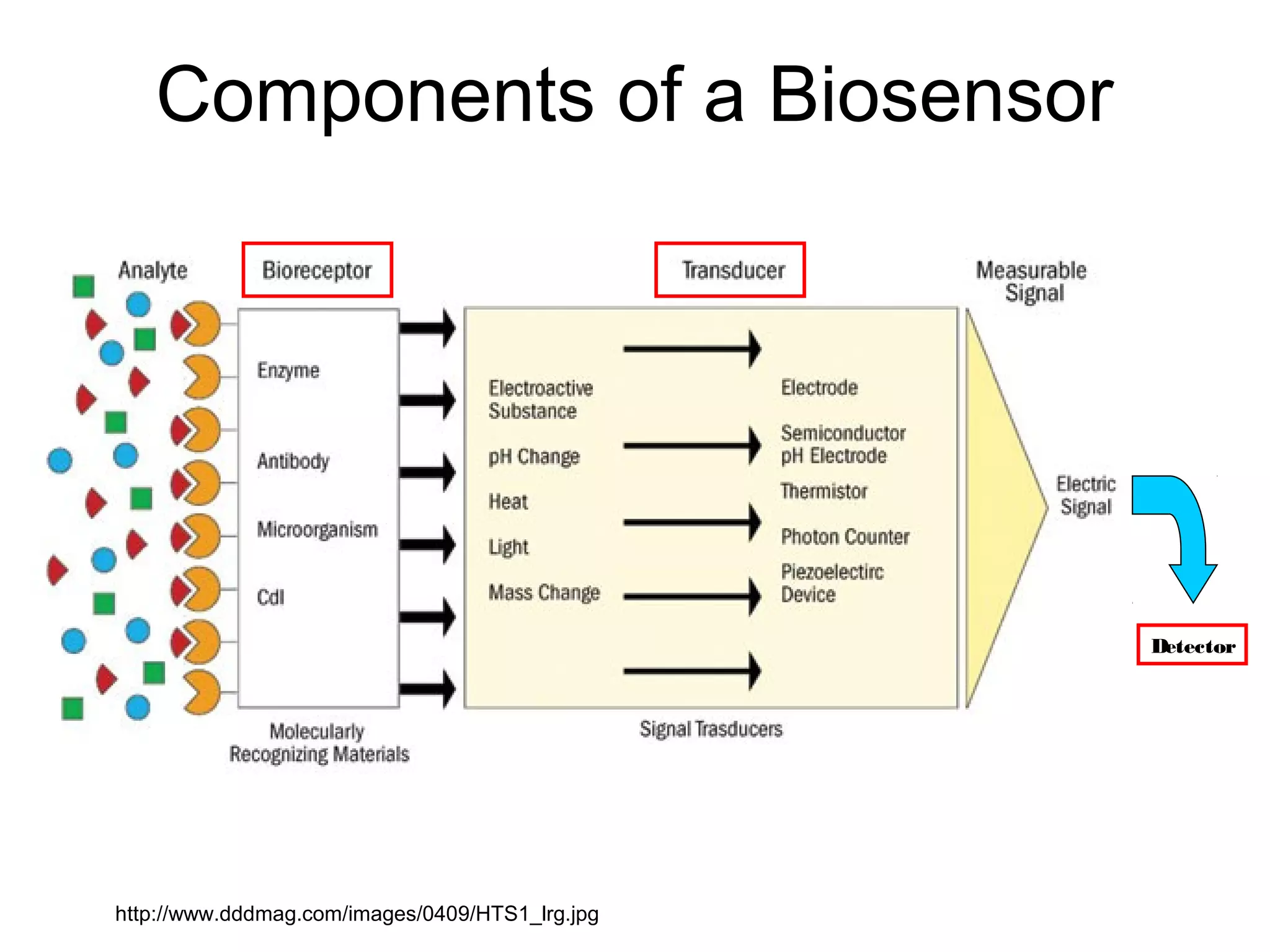Biosensors general ppt | PPT