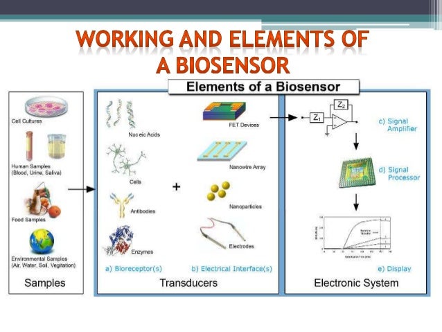 Biosensors in food industry’ presentation by Sonika Singh, NIFTEM, M…
