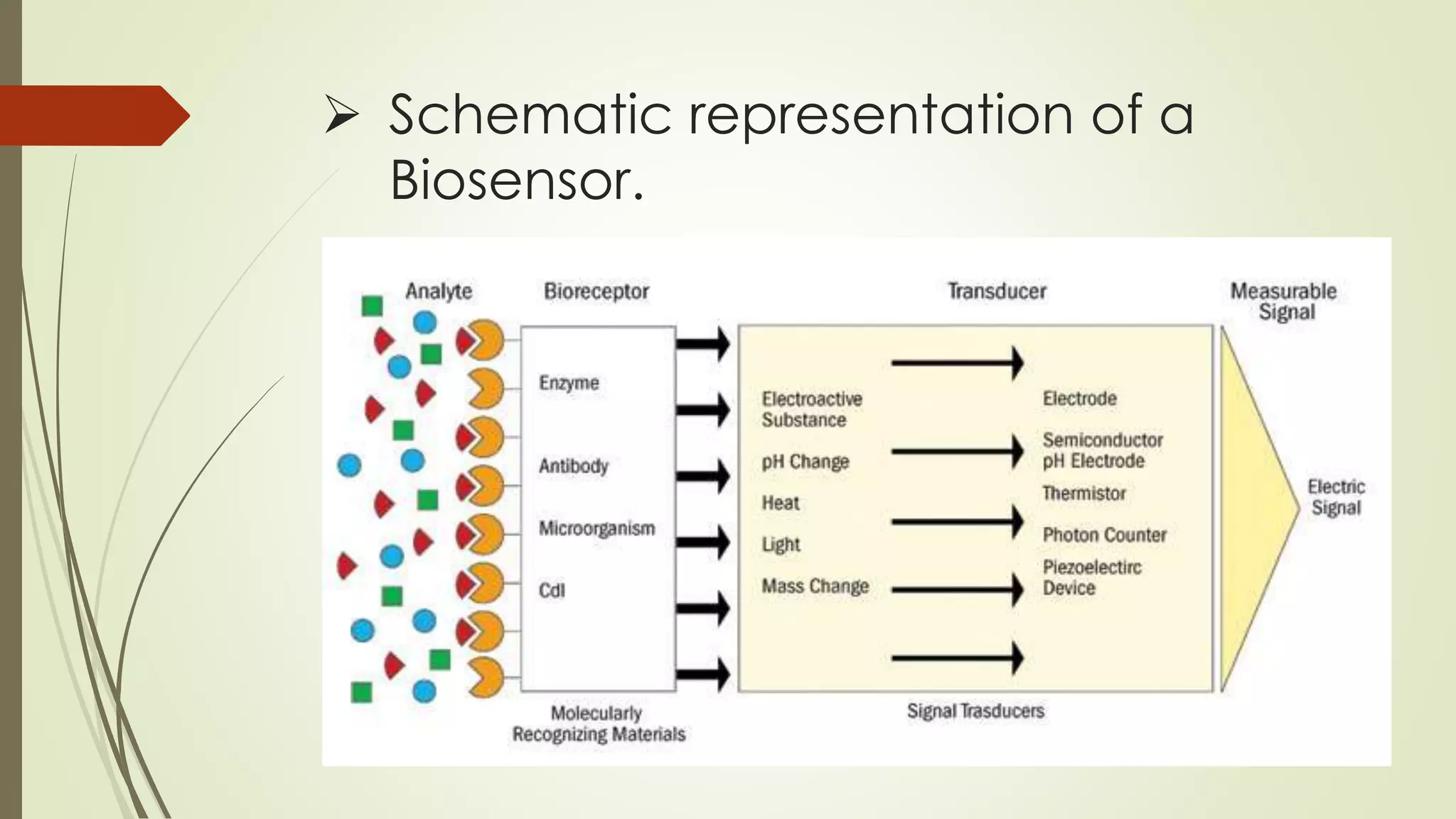 Biosensors & it’s applications | PPTX | Chemistry | Science