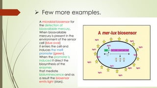 Biosensors & it’s applications | PPTX
