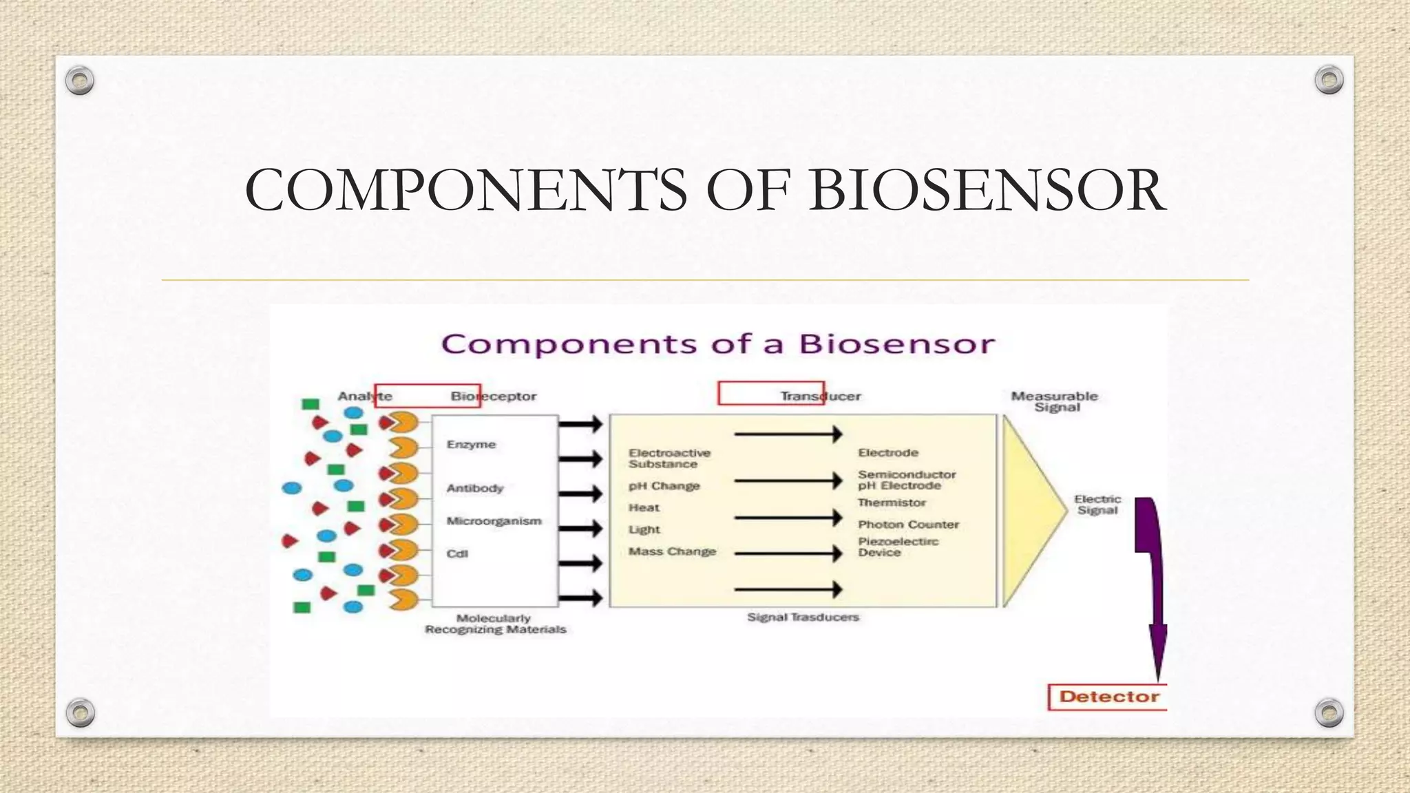 Biosensors ppt | PPTX | Chemistry | Science