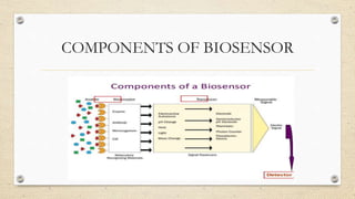 Biosensors ppt | PPTX | Chemistry | Science