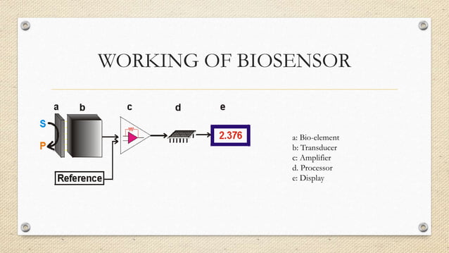 Biosensors ppt | PPTX | Chemistry | Science