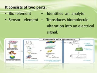 Biosensors ppt | PPTX | Chemistry | Science