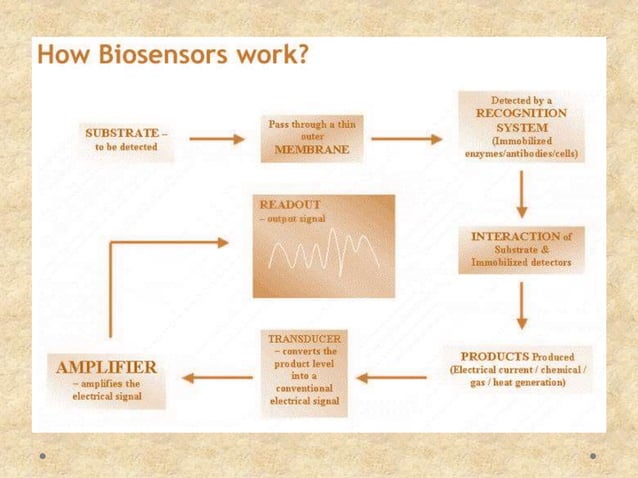 Biosensors (structure and application) | PPTX