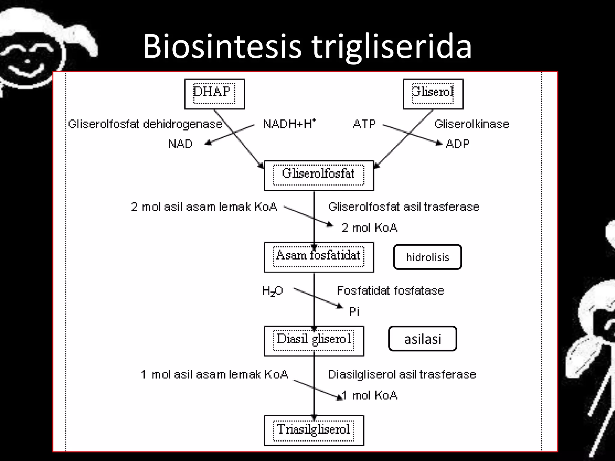 Biosentesis asam lemak | PPTX