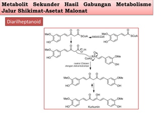 Biosentesis metabolit sekunder | PPTX