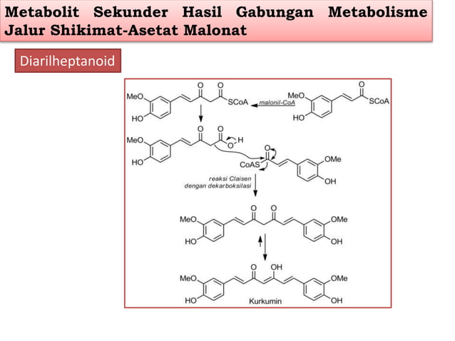 Biosentesis metabolit sekunder | PPTX