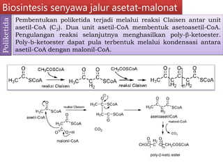 Biosentesis metabolit sekunder | PPTX