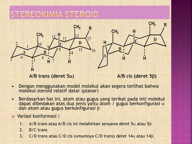 BIOSENTESIS STEROID I.pptx
