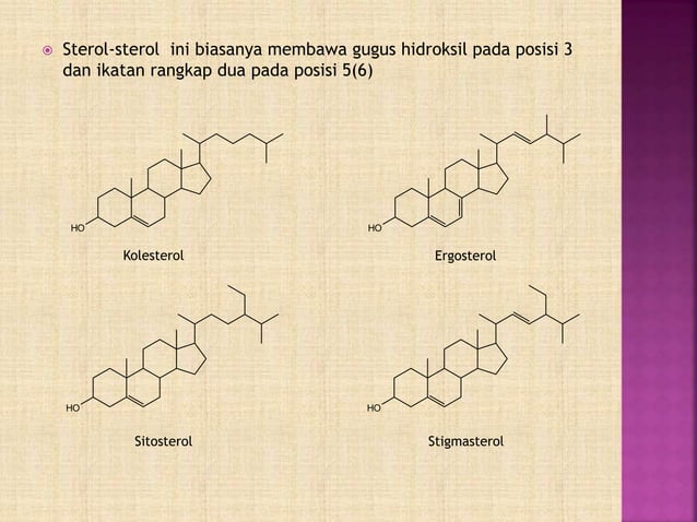 BIOSENTESIS STEROID I.pptx