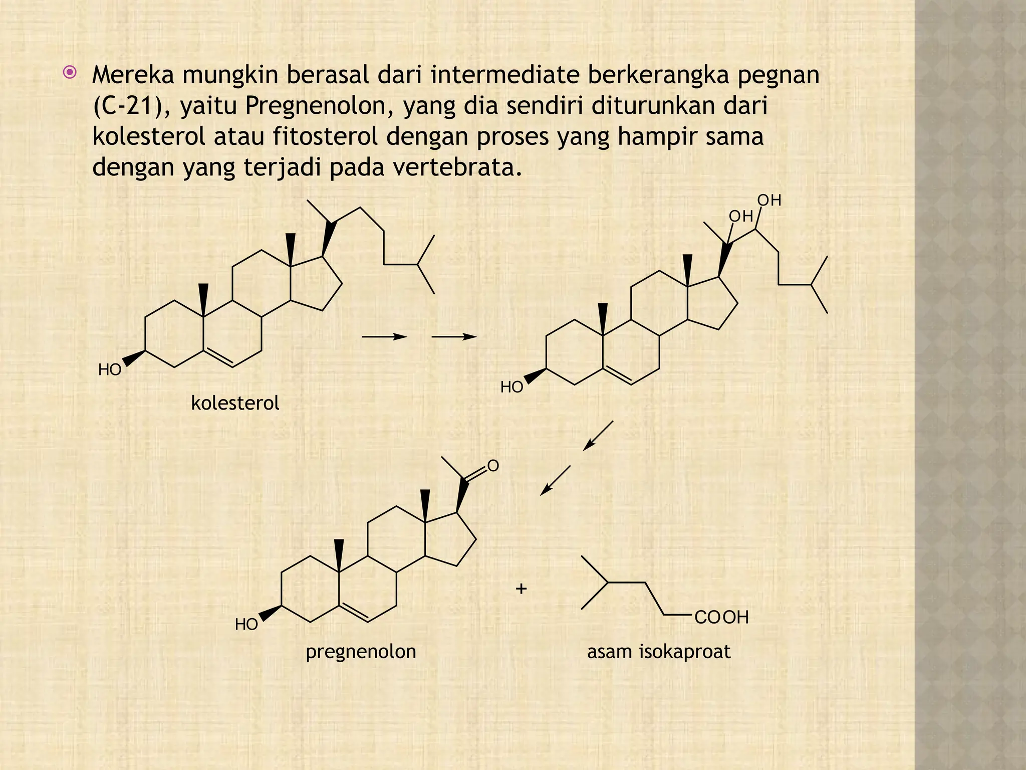 BIOSENTESIS STEROID II (belajar tentang metabolit sekunder) | PPTX