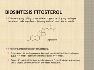 BIOSENTESIS STEROID II (belajar tentang metabolit sekunder) | PPTX