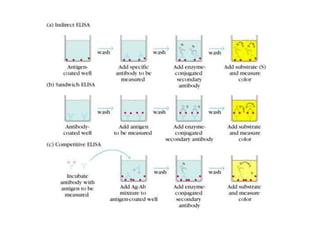 Bioseparation and Analysis.ppt
