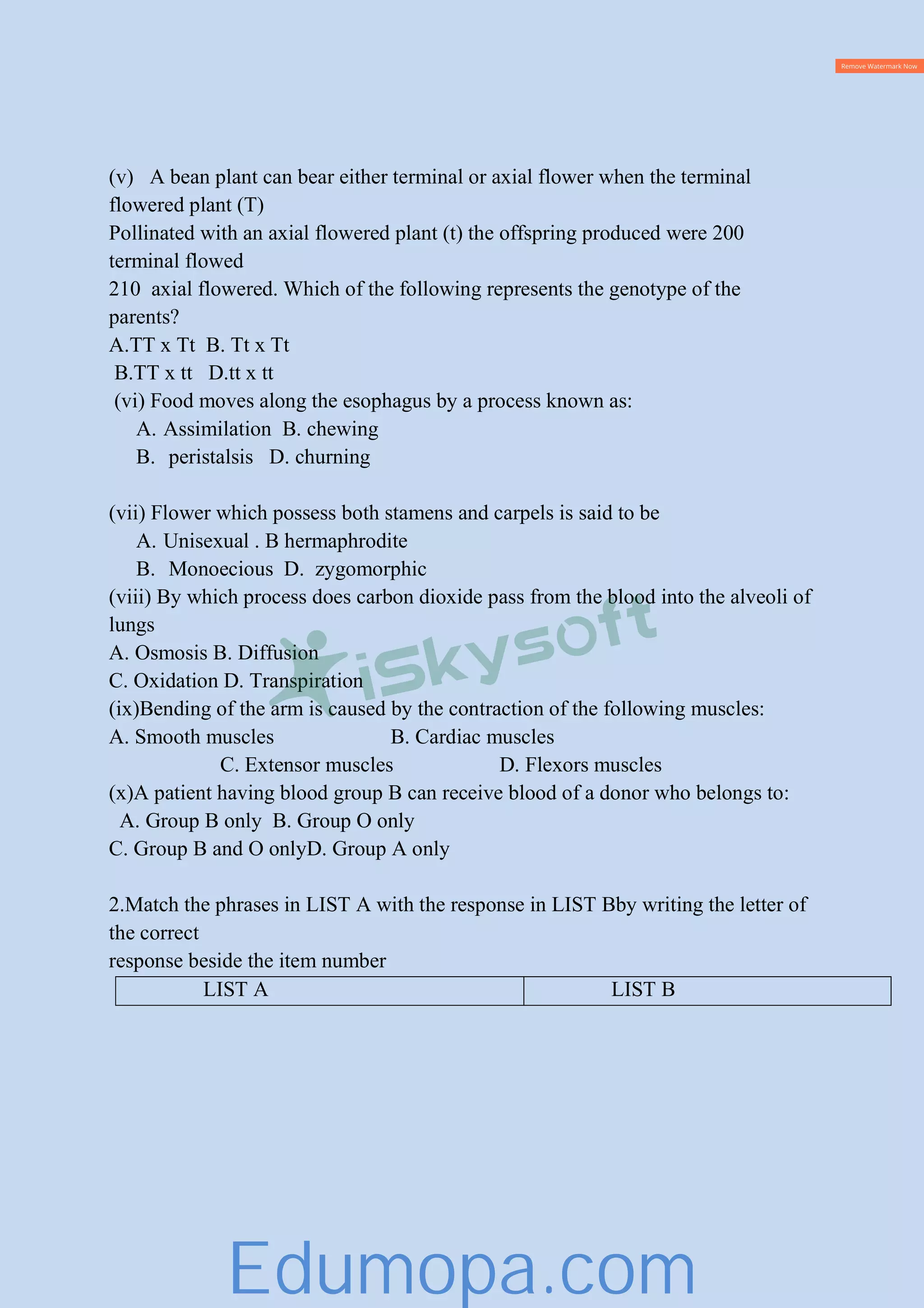 BIOLOGY FOR FORM FOUR | PDF