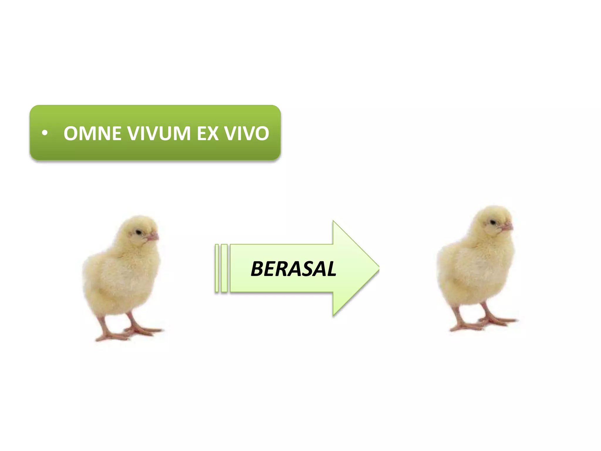 Biosfer | PPTX