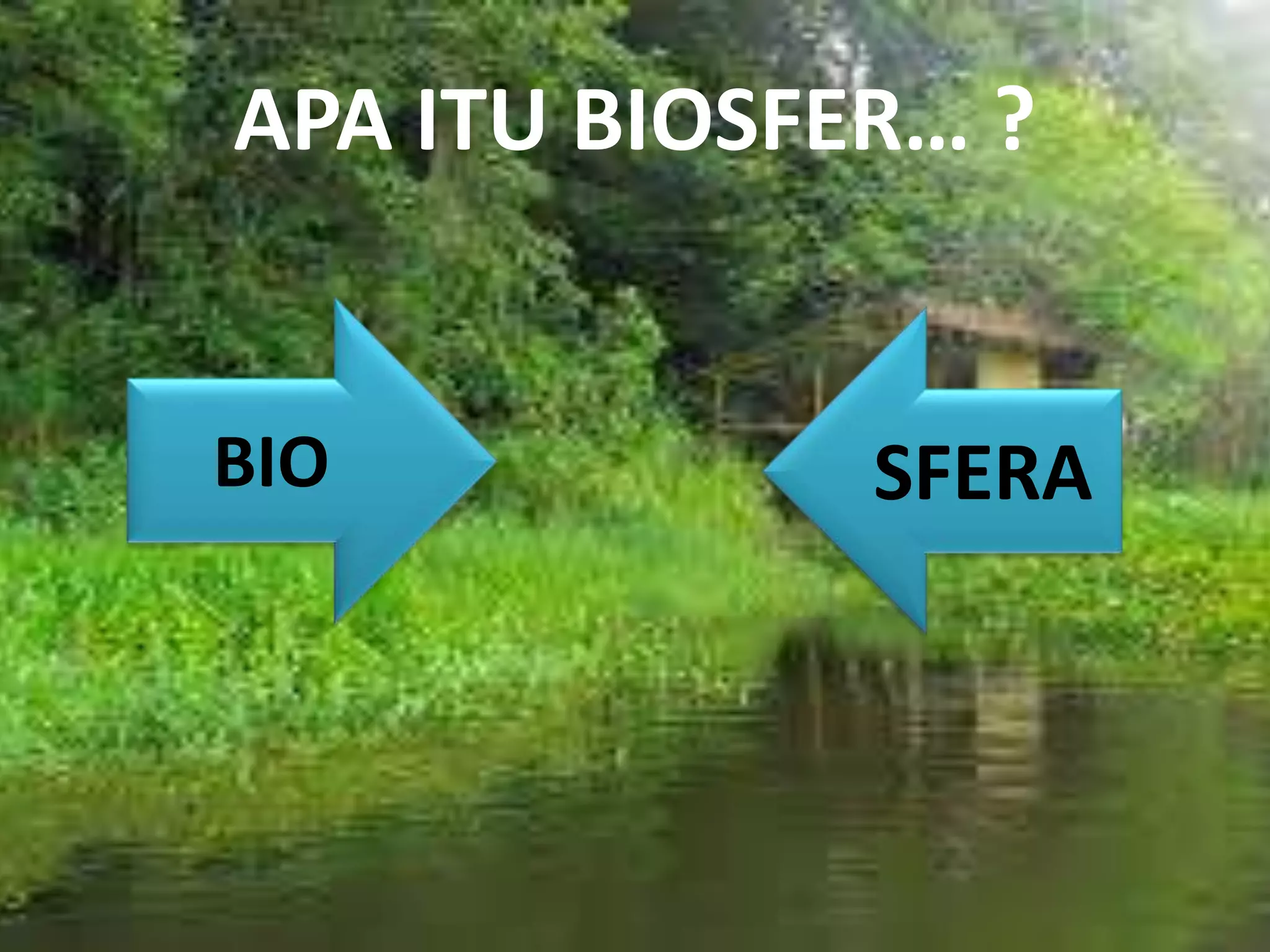 Biosfer | PPTX