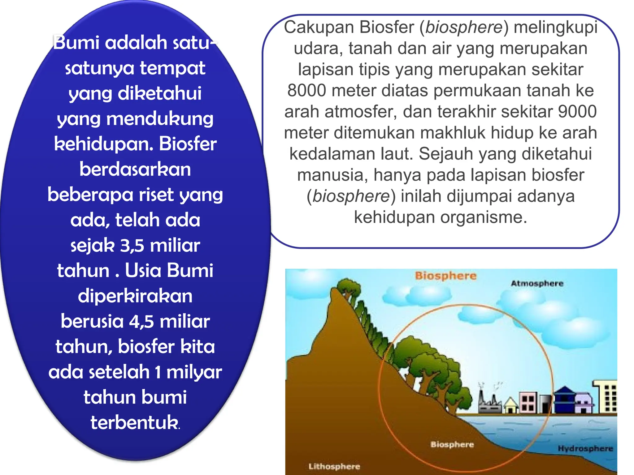 Biosfer adalah lapisan di permukaan bumi yang mencakup daratan, udara, dan air, serta menjadi ...