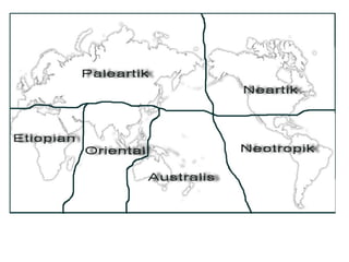 IGCSE Geography: Introduction to Biosfer.ppt
