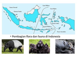 IGCSE Geography: Introduction to Biosfer.ppt