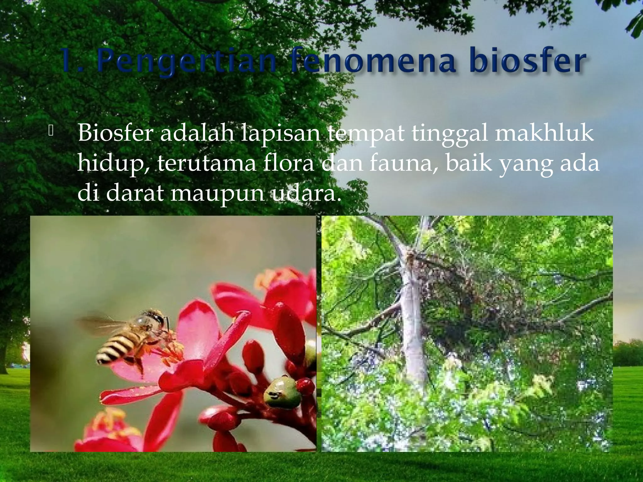 Biosfer aspek-sebaran-hewan-tumbuhan cepi nugraha 1001960 | PPT