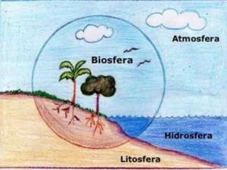 Biosfera | PPTX