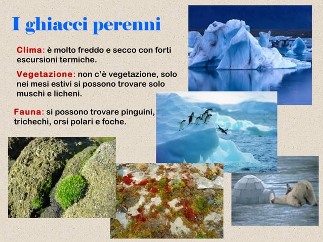 Biosfera e biomi | PPT | Zoos & Aquariums | Attractions