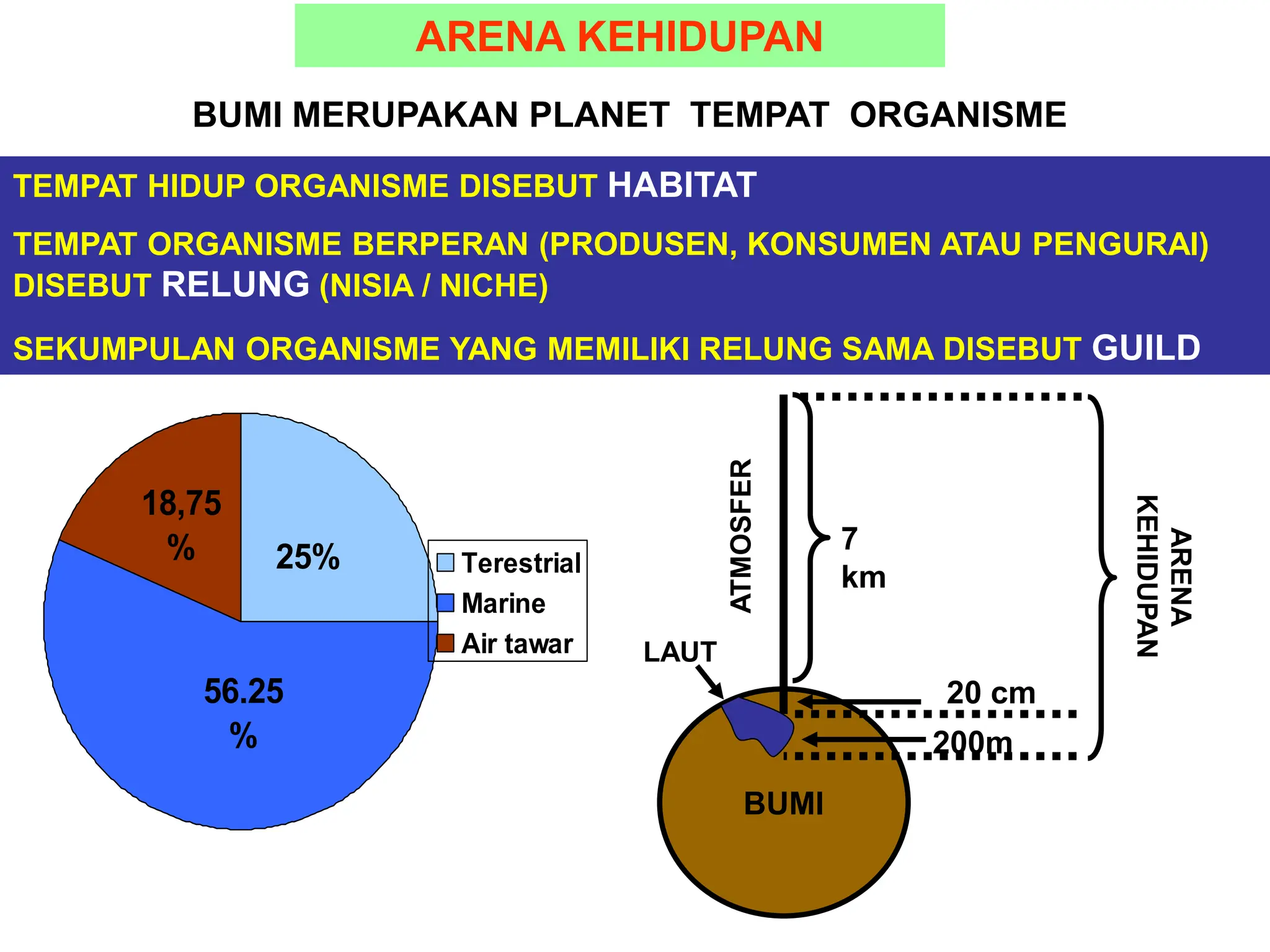 biosfir mengenai lapisan atmosfer yang ada di bumi.ppt