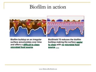 BioShield 75 And Biofilm Prevention Mwbs | PPT