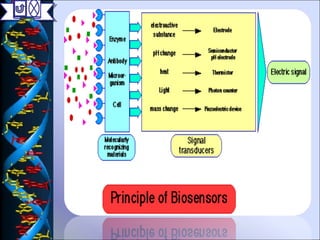 BIOSENSORS | PPT