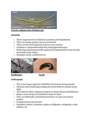 bio short notes.docx