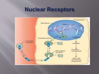 Bio signaling | PPTX