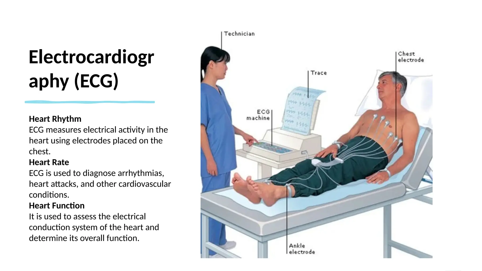 bio signal prezentasiya.pptxddddddddddddddddddd | PPTX