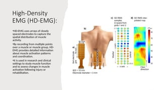 bio signal prezentasiya.pptxddddddddddddddddddd | PPTX